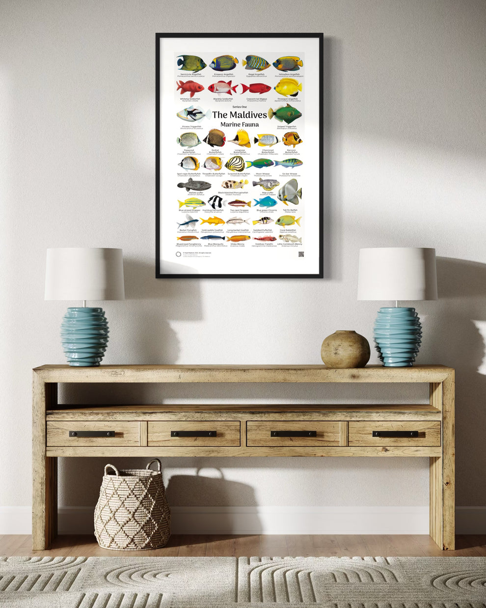 Marine Fauna of the Maldives | Educational Posters & Fish ID Cards ...